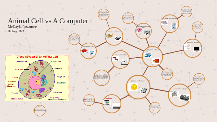 Animal Cell vs A Computer by Mc Pa on Prezi