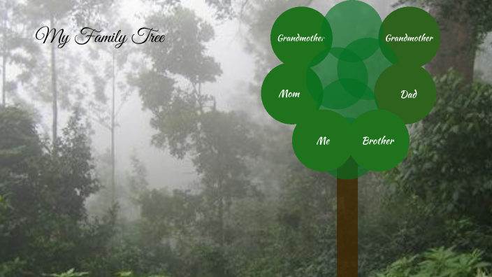 My Family Tree by Sofi Bang on Prezi