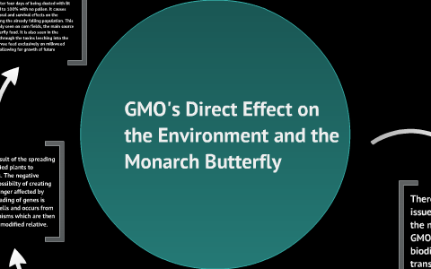GMO's Direct Effect on Environment and the Monarch Butterfly by Nick ...