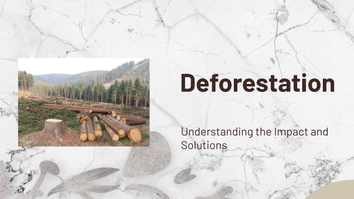 Deforestation by Ronald Allen Albania on Prezi
