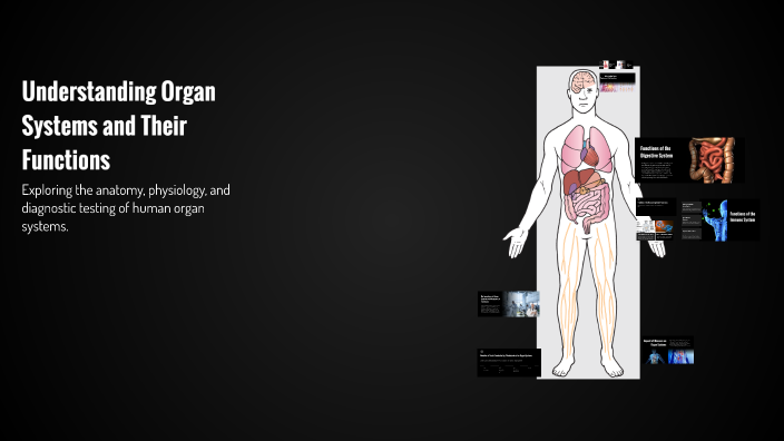Understanding Organ Systems and Their Functions by lis flores on Prezi