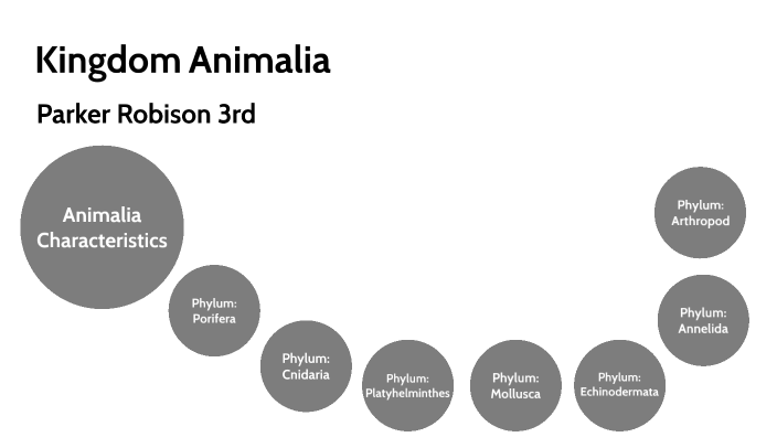 Kingdom Animalia by PARKER ROBISON