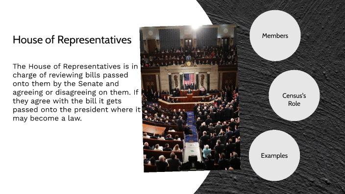 Legislative Branch Digital Poster by Aiden Leonard on Prezi