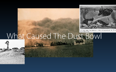 What Caused The Dust Bowl? by Beau Keith on Prezi