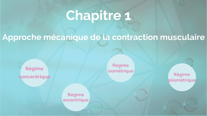 Mécanisme de contraction musculaire by Capucine LAURENT on Prezi