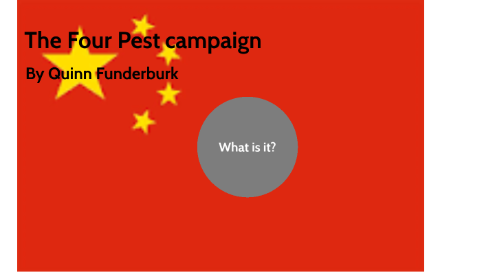 The Four Pests campaign by Quinn Funderburk on Prezi