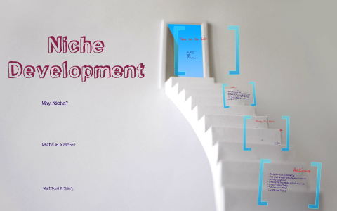 NICHE DEVELOPMENT by Larry Linne on Prezi