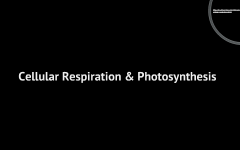 Cellular Respiration & Photosynthesis by Suzanne Chami on Prezi