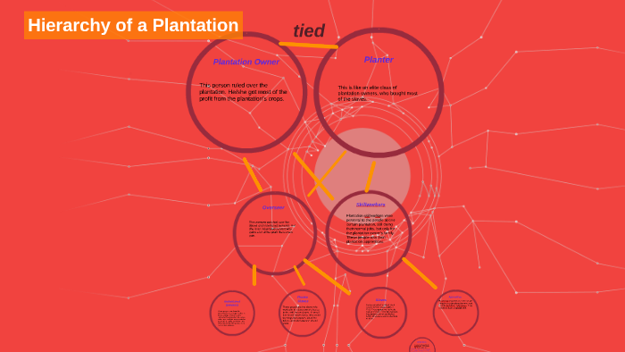 Hierarchy of a Plantation by Patrick McLeod on Prezi