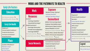 NIH Chart by Kurt Lavetti on Prezi Design