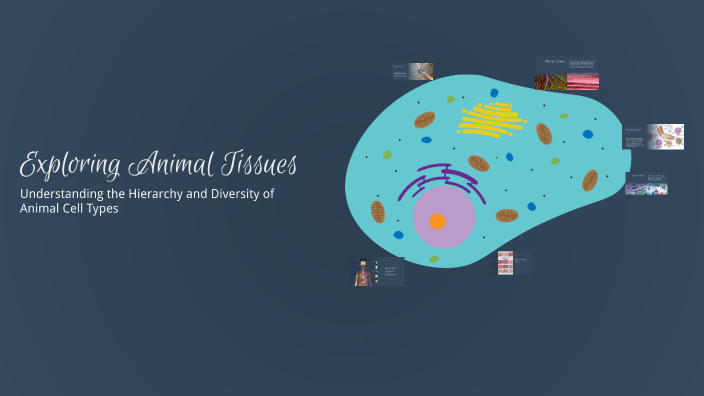 Exploring Animal Tissues by Mark Joseph Manaligod on Prezi
