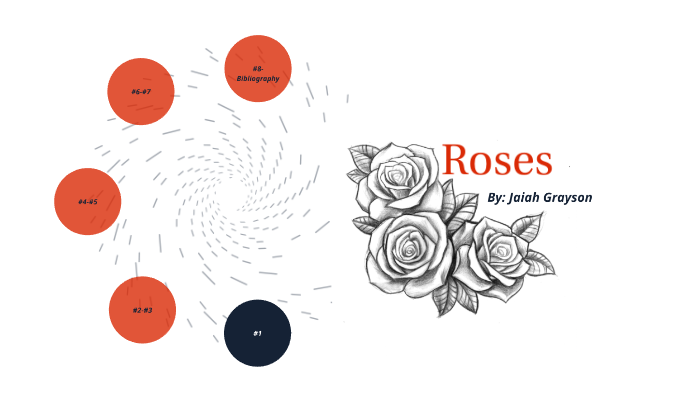 Roses by Jaiah Grayson on Prezi