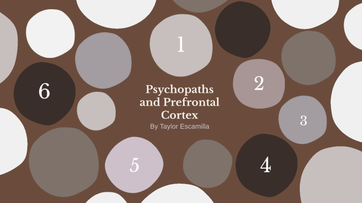 Psychopaths and Prefrontal Cortex by Taylor Escamilla on Prezi