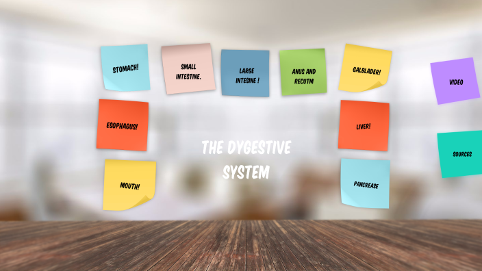 Digetive system by Daira Motwani on Prezi