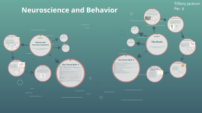 Neuroscience and Behavior Module Notes by Tiffany Jackson on Prezi