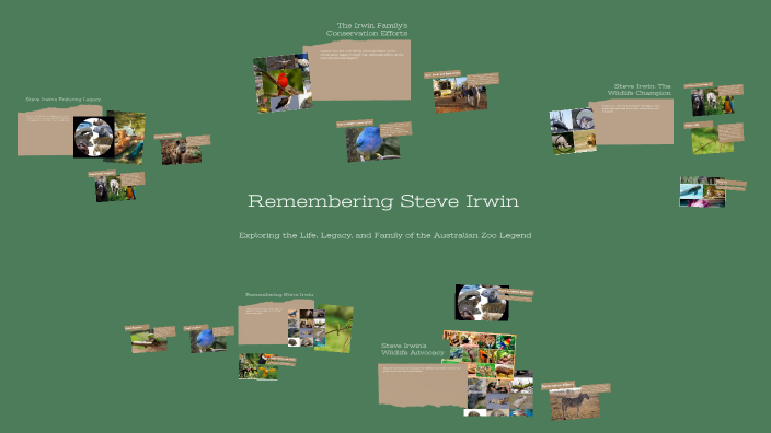 Remembering Steve Irwin by declan fairbrother on Prezi