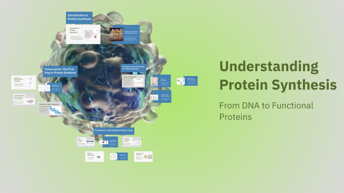 Understanding Protein Synthesis by Sam Garrido on Prezi