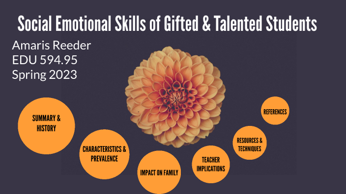 Social Emotional Skills of Gifted and Talented Students by Amaris ...