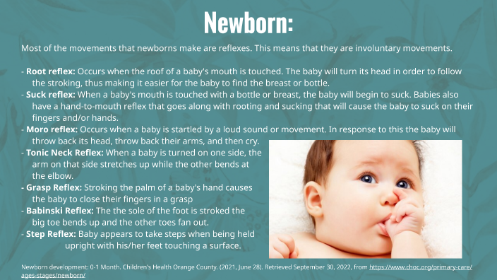 Physical Development Timeline by Alexa Wimberly on Prezi