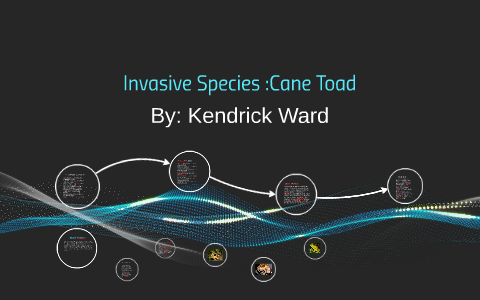 Invasive Species :Cane Toad by Kendrick Ward on Prezi