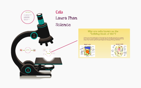 What is a cell? by Laura Phan on Prezi