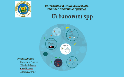 Urbanorum spp by LIZ DIGUAY on Prezi