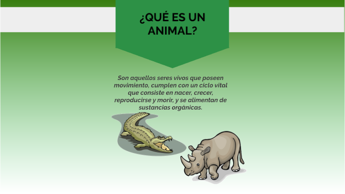 ¿Qué es un animal? by Rafael Chavez on Prezi