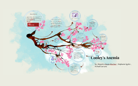 Cooley's Anemia by Alejandra Amaro on Prezi