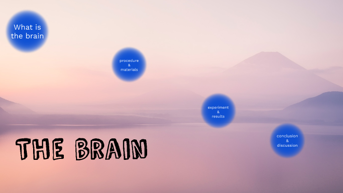 Brain by Imogen French on Prezi
