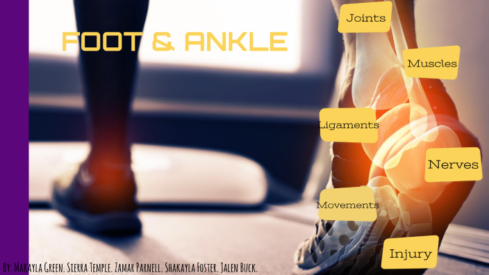 Foot and Ankle Presentation by Makayla Green on Prezi