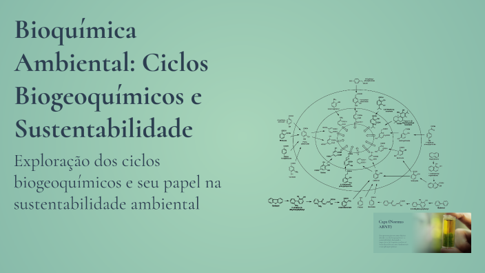 Bioquímica Ambiental: Ciclos Biogeoquímicos e Sustentabilidade by Lícia ...