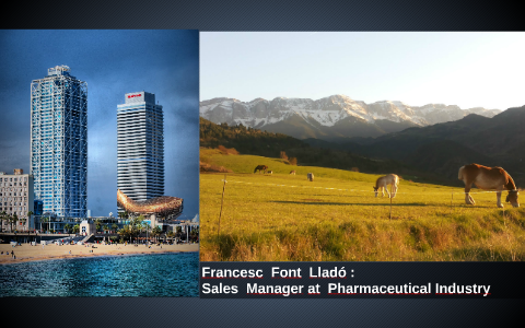 C.V Francesc Font by Francesc Font Lladó