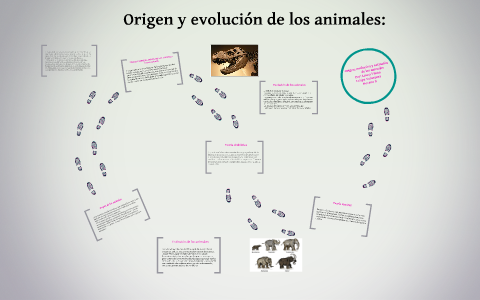 Origen y evolución de los animales: by Laura vitata on Prezi