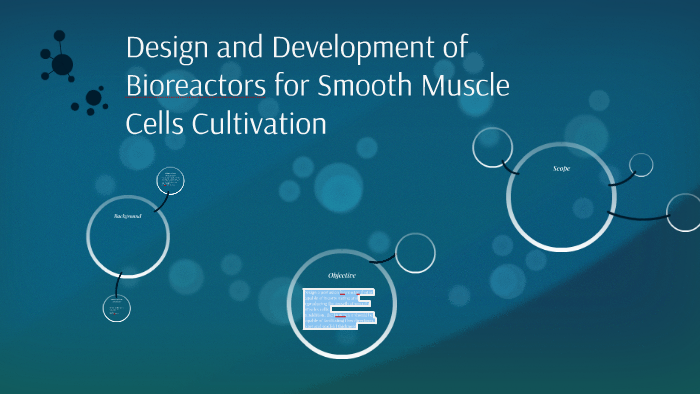 Design and Development of Bioreactors for Smooth Muscle Cell by Kaiwei ...