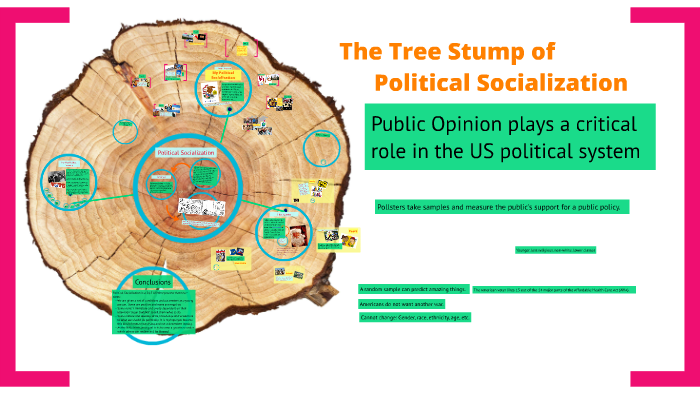 Poli 1223 Political Socialization (with personal examples) by Tony ...