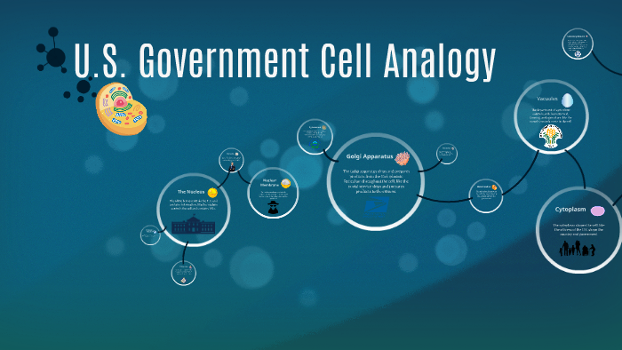 U.S. Government Cell Analogy by Luhcka on Prezi