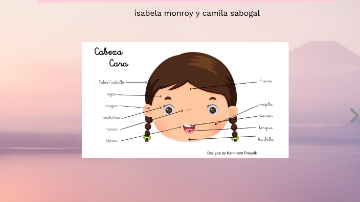 parts of body by Isabella Monroy Cañón on Prezi