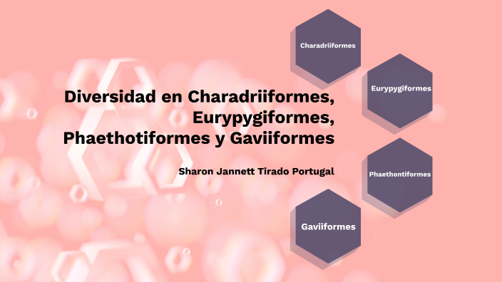 Tercer Parcial ZOO by Sharon Tirado Portugal on Prezi