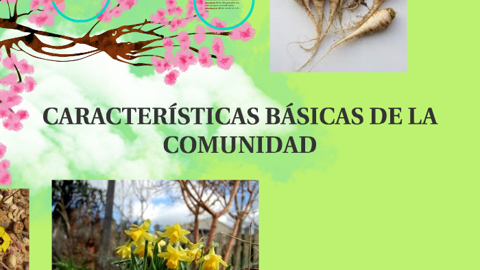 CARACTERÍSTICAS BÁSICAS DE LA COMUNIDAD by brenda ponce on Prezi