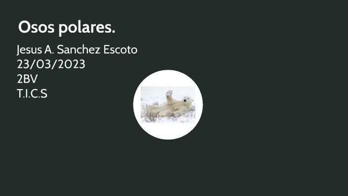 osos polares by JESUS AYERIM SANCHEZ ESCOTO on Prezi