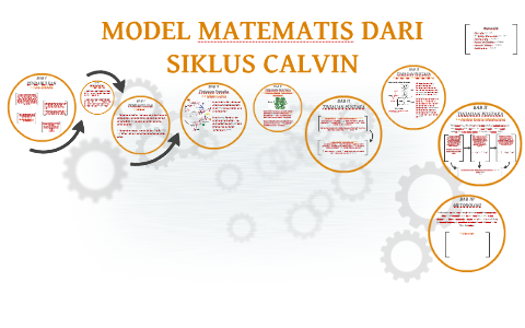 MODEL MATEMATIS DARI SIKLUS CALVIN by Laksmitha Widyanie on Prezi