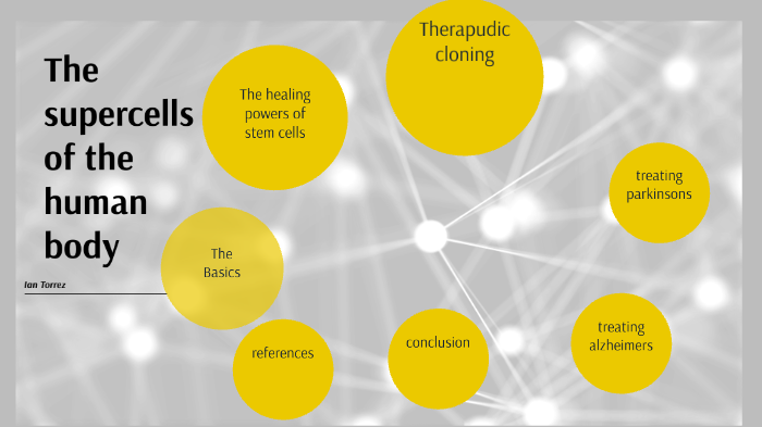 stem cells: the supercells of the human body by ian torrez on Prezi