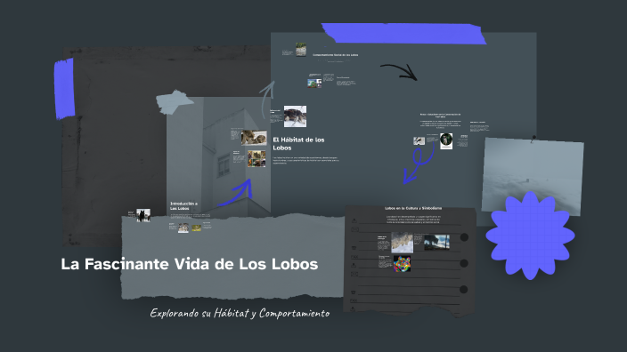 La Fascinante Vida de Los Lobos by Leilani Rivera on Prezi