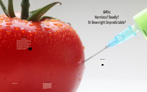 GMOs by Lucille Finnegan on Prezi