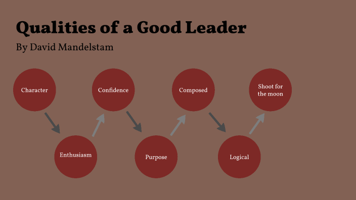 Good Leader by david mandelstam