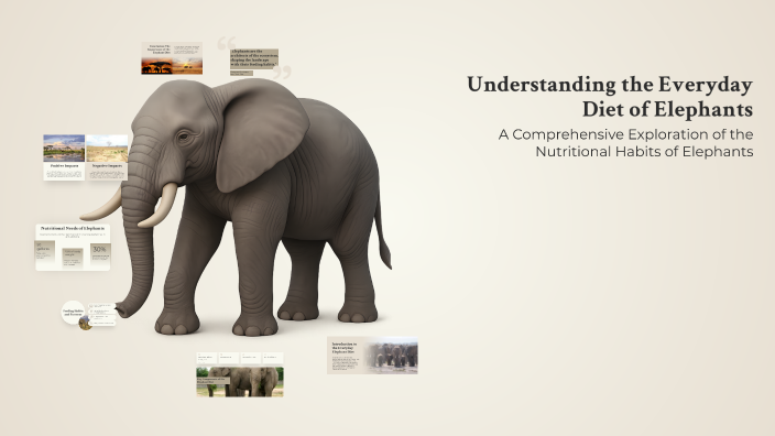 Understanding the Everyday Diet of Elephants by Яна Кримняк on Prezi