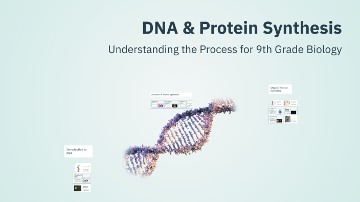 DNA & Protein Synthesis by Michael Theil on Prezi