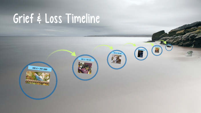 Jeremy Grief/loss timeline by Jeremy Seman on Prezi