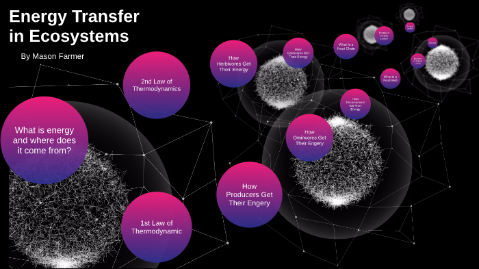 Energy Transfer in Ecosystems Project by mason farmer on Prezi