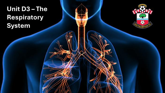 Unit D3: The Respiratory System by Roy Johnson on Prezi